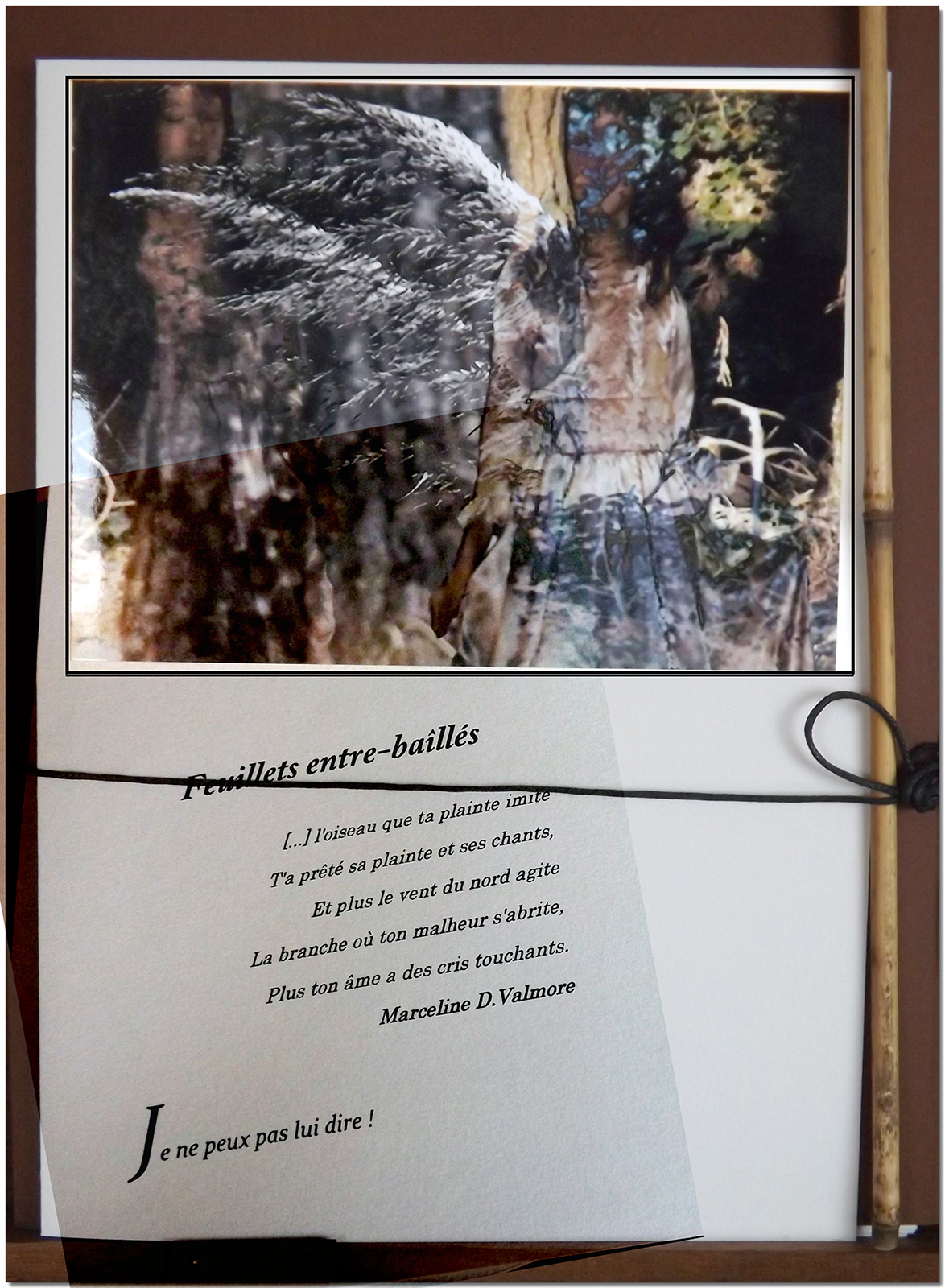 Le livre d’artiste – Exp.éditions imaginaires